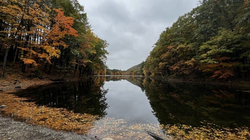 Best 10 Hikes and Trails in Mount Toby State Forest | AllTrails