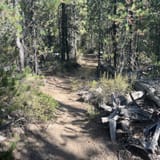 Fall River Trail, Oregon - 336 Reviews, Map | AllTrails