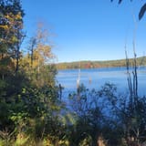 Council Bluff Lake Loop, Missouri - 257 Reviews, Map | AllTrails