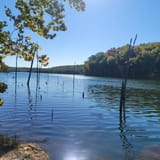 Council Bluff Lake Loop, Missouri - 257 Reviews, Map | AllTrails