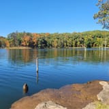 Council Bluff Lake Loop, Missouri - 257 Reviews, Map | AllTrails
