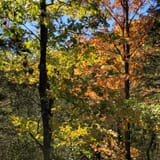 Sugar Camp Scenic Byway, Missouri - 64 Reviews, Map | AllTrails