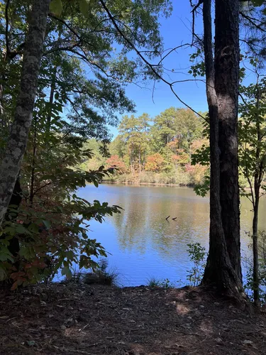 Best 10 Hiking Trails in Oak Mountain State Park | AllTrails