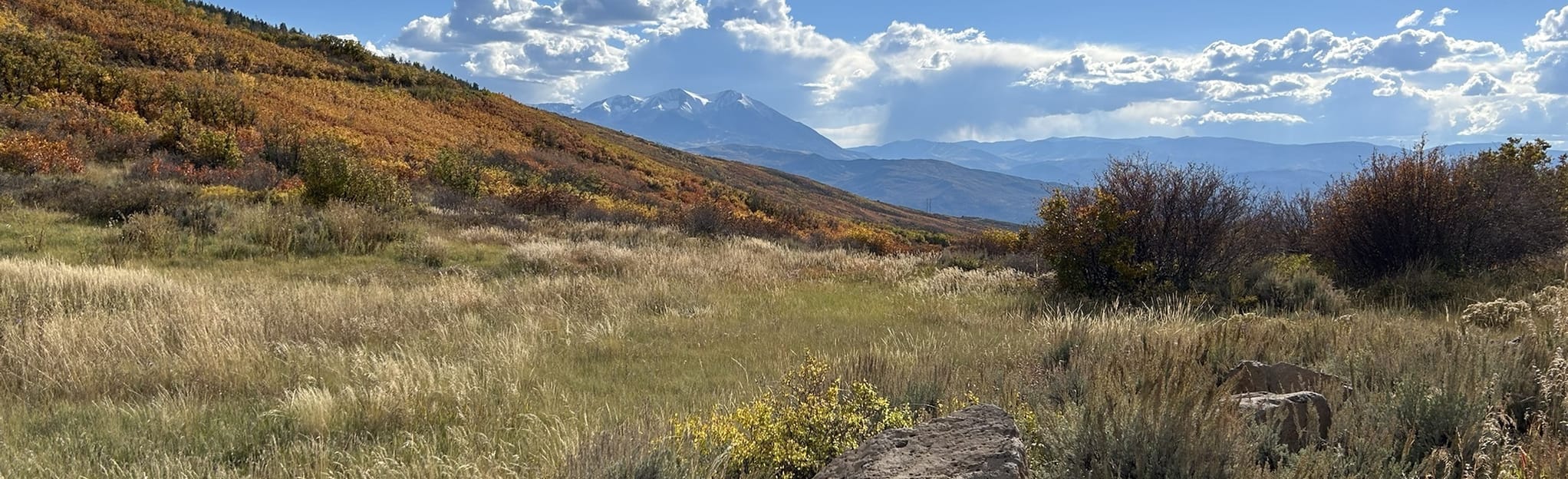 AllTrails | Basalt Mountain: 12 Reviews, Map - Colorado