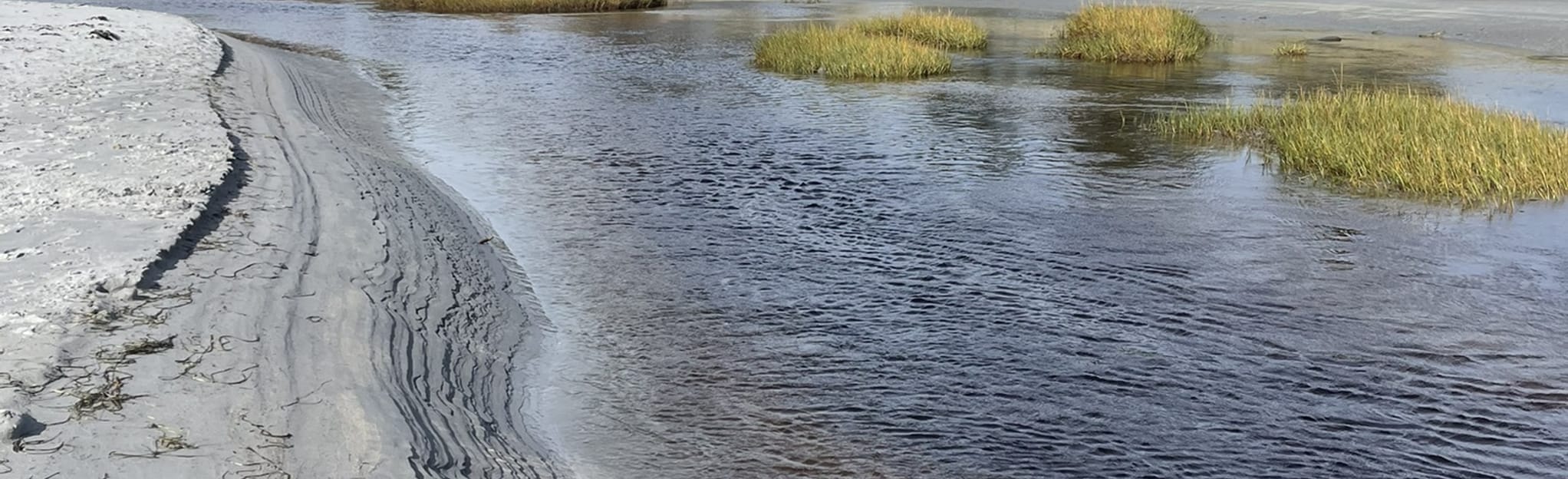 Beach Meadows, Nova Scotia, Canada - 21 Reviews, Map | AllTrails