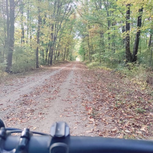 Best Hikes and Trails in Mike Levine Lakelands Trail State Park | AllTrails