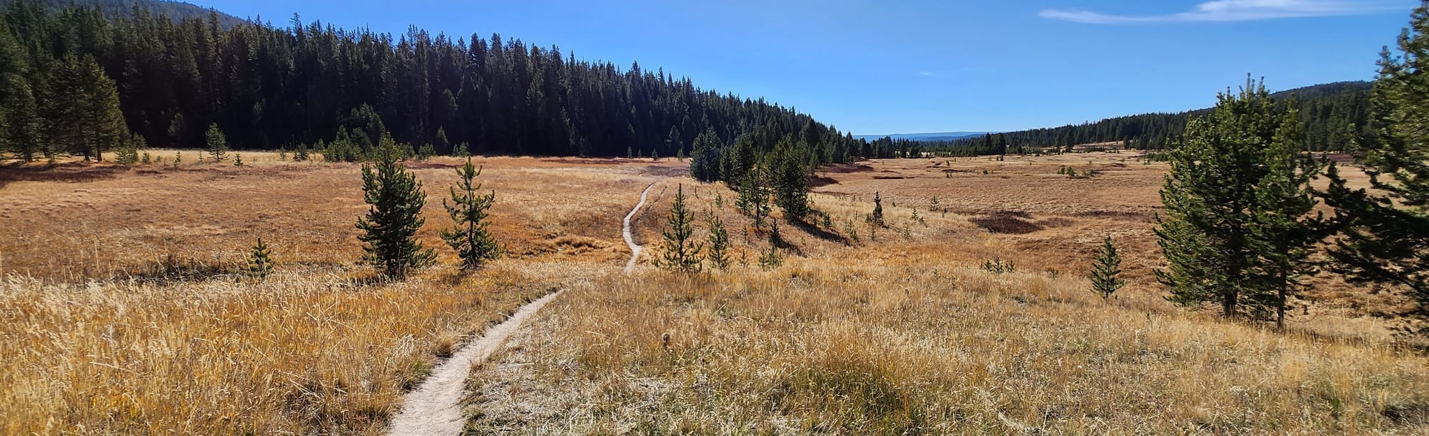 Shoshone Lake via Delacy Creek Trail : 165 Photos - Montana | Randonnée ...