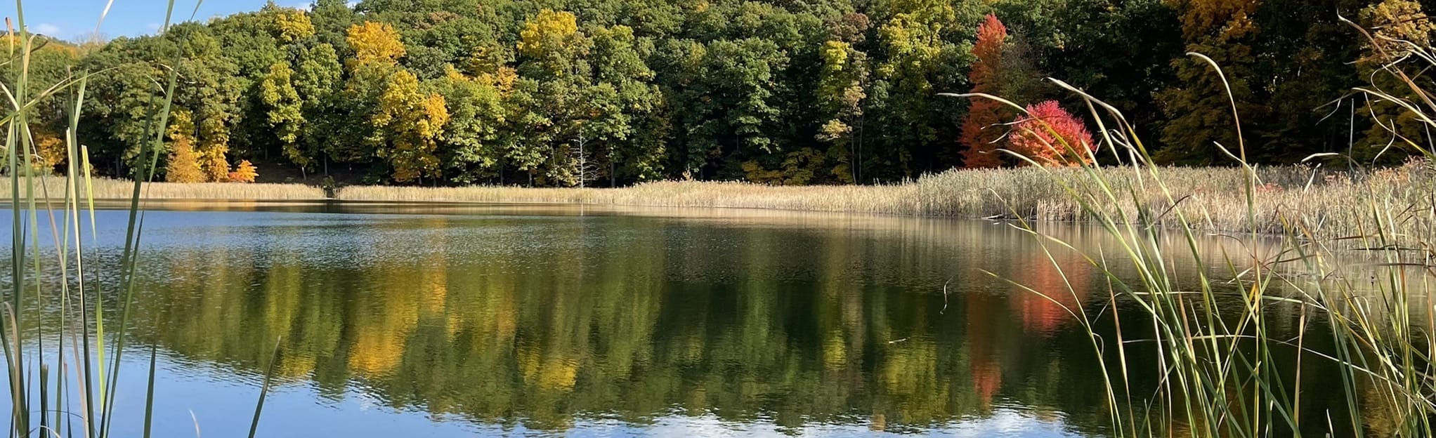 Round and Lost Pond Loop: 373 foto's - New York | AllTrails