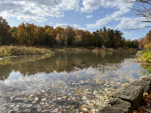 2023 Best 10 Trails and Hikes in Cleveland | AllTrails