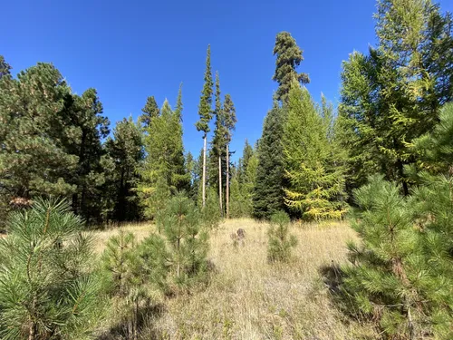 Best Hikes and Trails in Metolius Preserve | AllTrails