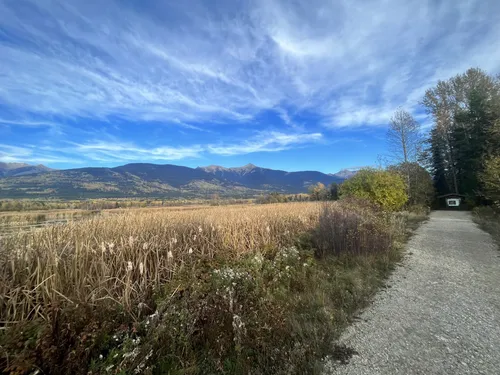 10 Best Trails and Hikes in Valemount | AllTrails