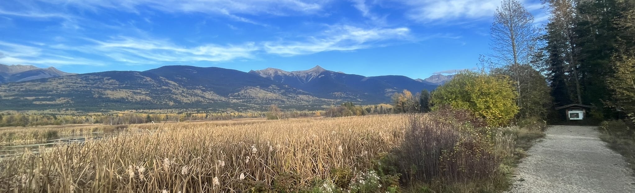 Cranberry Marsh Loop : 103 Photos - Colombie-Britannique, Canada ...