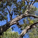 Karawatha Forest Park Quarry, Queensland, Australia - 124 Reviews, Map ...