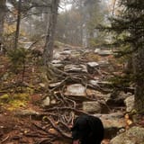 Manning Trail, New Hampshire - 172 Reviews, Map | AllTrails