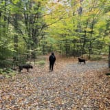 Manning Trail, New Hampshire - 162 Reviews, Map | AllTrails
