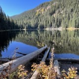 Turquoise Lakes Trail, Colorado - 287 Reviews, Map | AllTrails