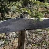 Turquoise Lakes Trail, Colorado - 287 Reviews, Map | AllTrails