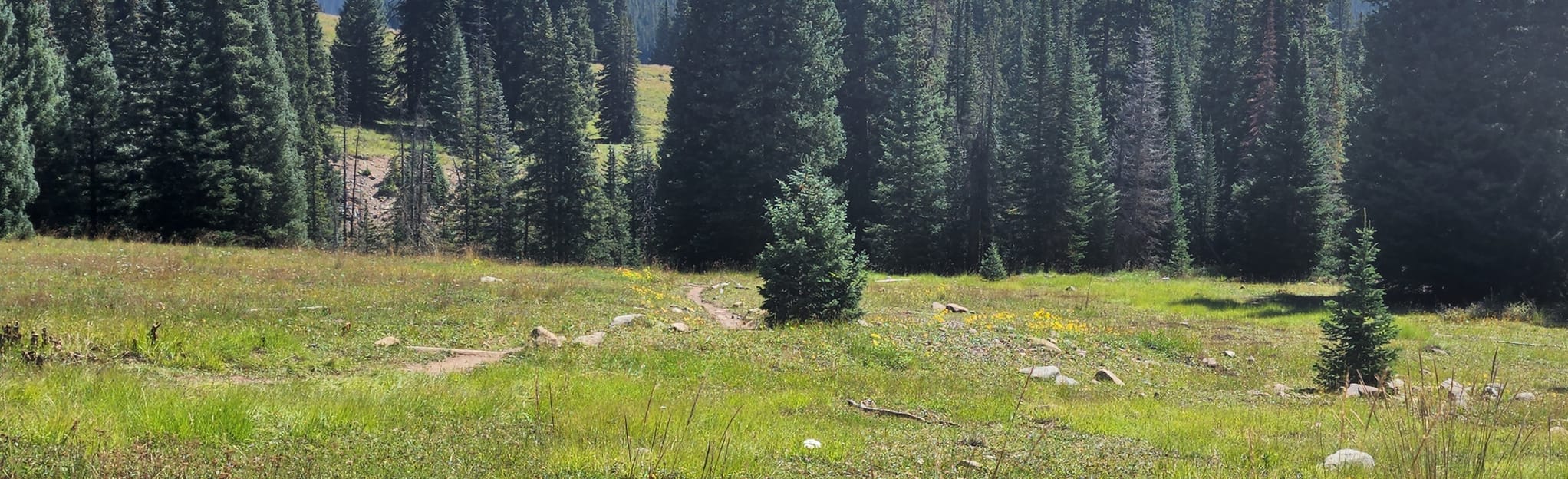 Groundhog Stock Trail, Colorado - 24 Reviews, Map | AllTrails