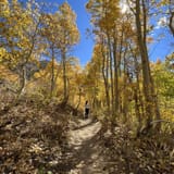 Heart Lake Trail, California - 500 Reviews, Map | AllTrails