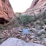 Moonflower Canyon Trail, Utah - 379 Reviews, Map | AllTrails