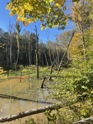 10 Best Hikes and Trails in Lake Hope State Park | AllTrails