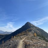 Grasshopper Pass via the PCT, Washington - 168 Reviews, Map | AllTrails