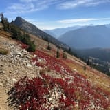 Grasshopper Pass via the PCT, Washington - 168 Reviews, Map | AllTrails