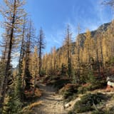 Grasshopper Pass via the PCT, Washington - 168 Reviews, Map | AllTrails