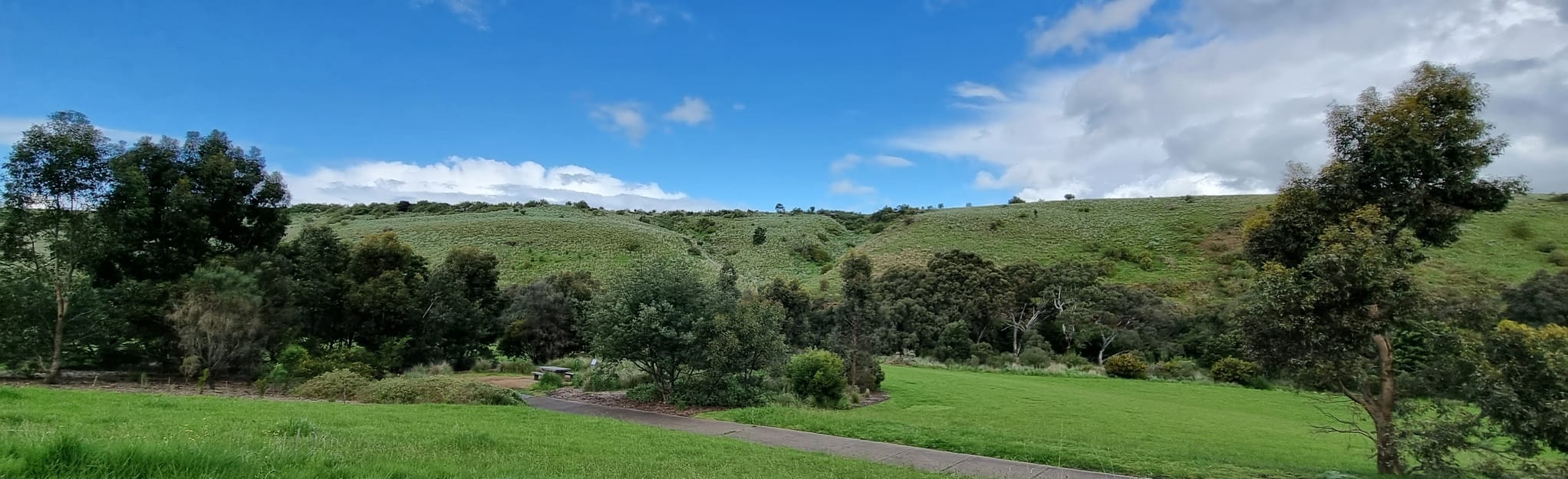 Jacksons Hill Loop 15 Reviews Map Victoria Australia Alltrails