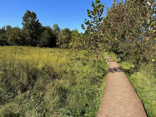 Best Kid Friendly Trails in Summit Point | AllTrails