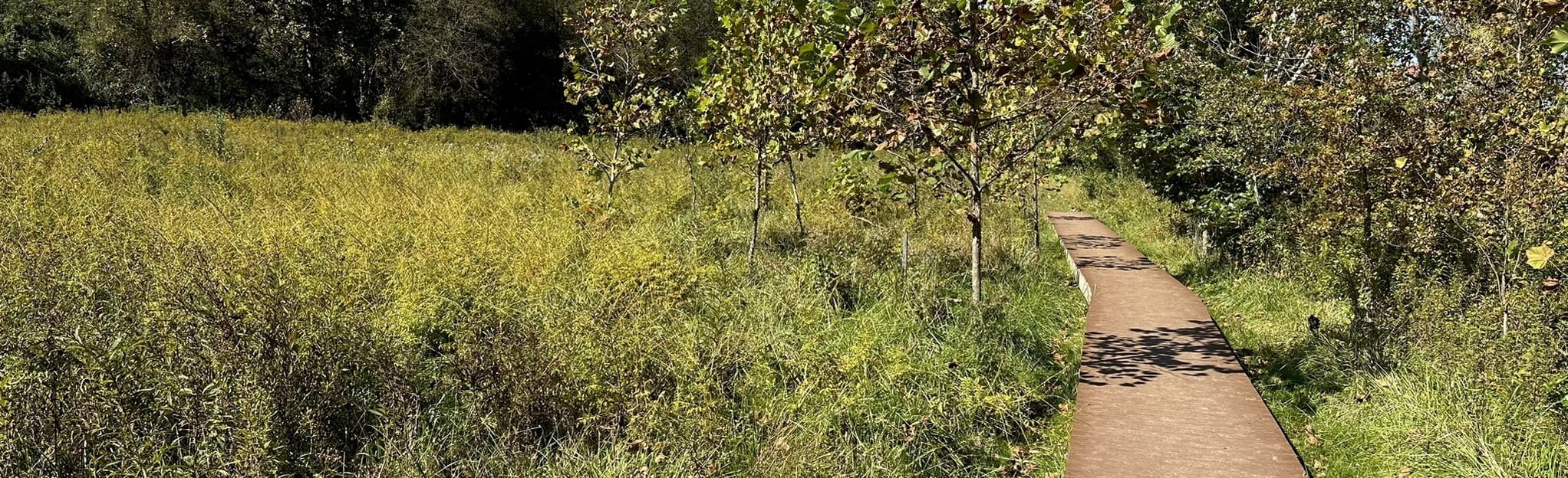 Cool Spring Perimeter Loop: 46 Reviews, Map - West Virginia | AllTrails