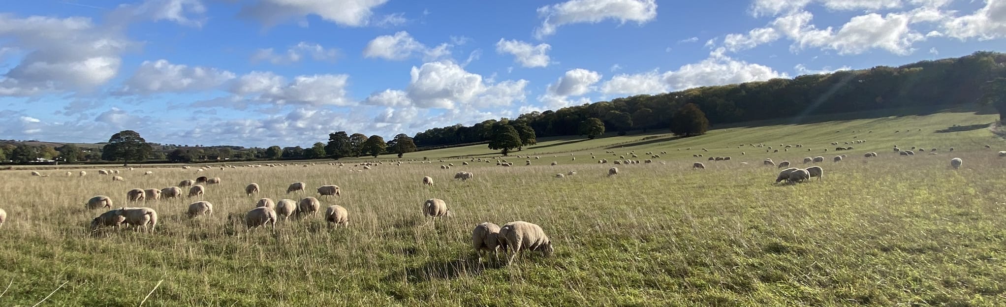 Lowdham, Woodborough, and Epperstone Circular: 22 Reviews, Map ...