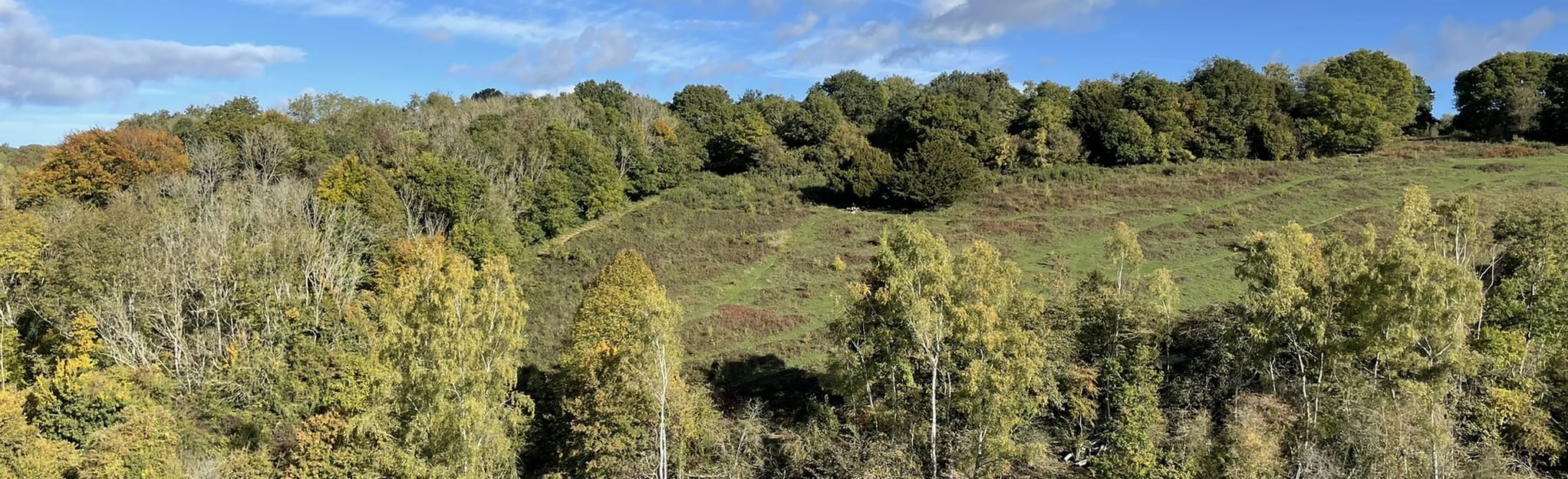 Headley Heath and Ranmore Vista Circular: 19 Reviews, Map - Surrey ...