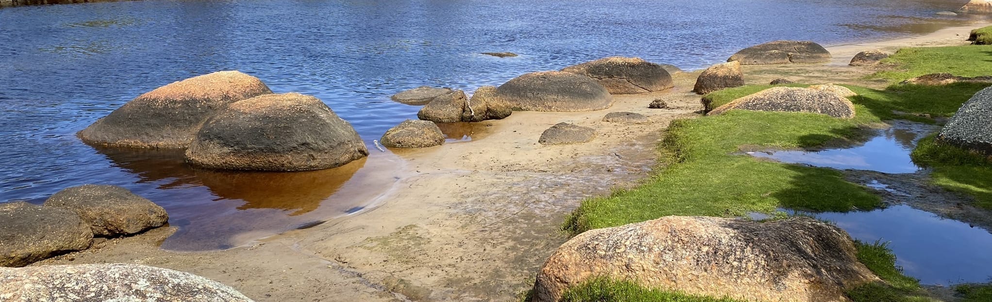 Loo-Errn Track, Victoria, Australia - 20 Reviews, Map | AllTrails