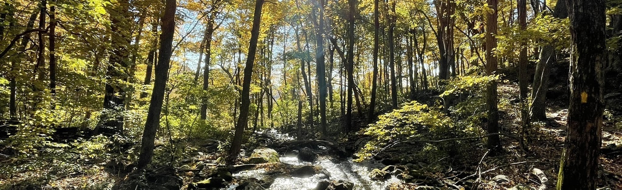 Shamokin Falls via Shamokin Springs Nature Preserve Trail, Virginia ...