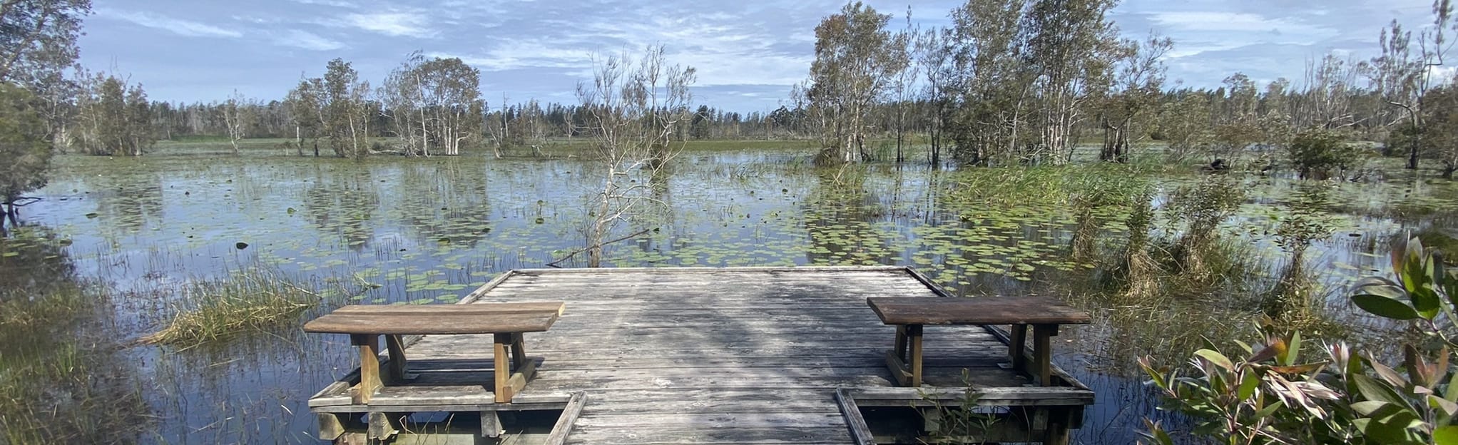 Cattai Lookout, New South Wales, Australia - 6 Reviews, Map | AllTrails