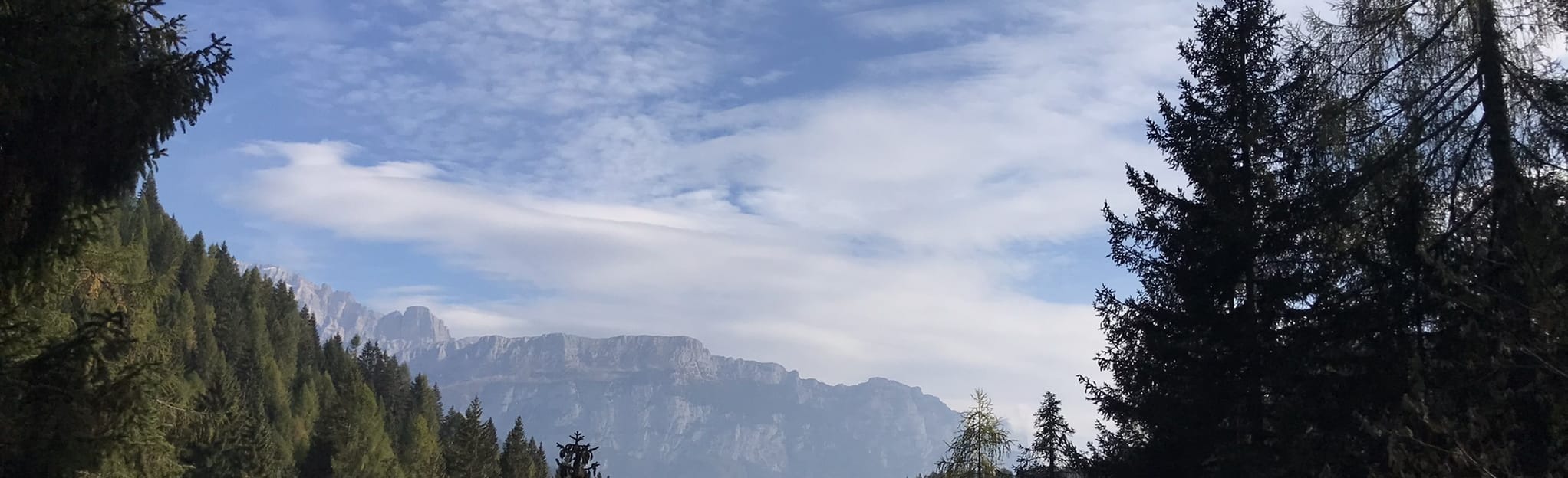 Feder - Cason de Laresei - Rifugio Lagazzon: 4 foto - Veneto, Italy ...