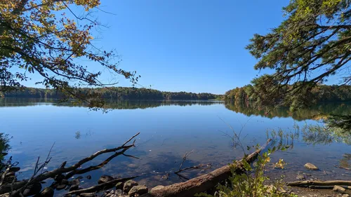 10 Best Hikes and Trails in Latta Nature Preserve | AllTrails