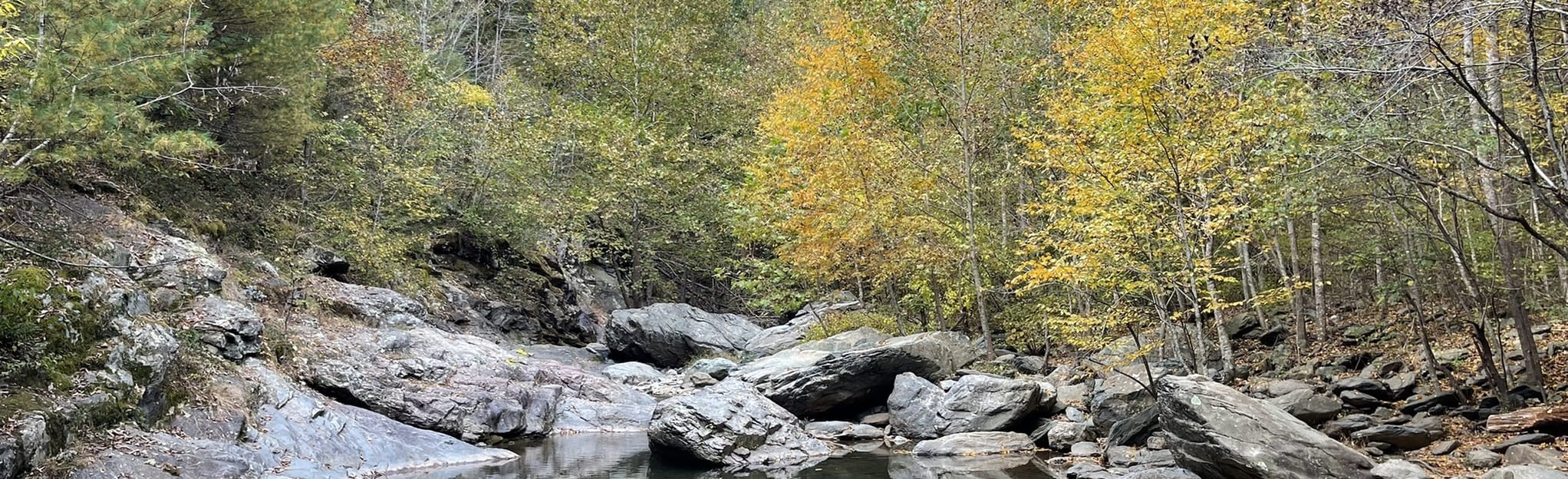North Fork Moormans River: 511 Reviews, Map - Virginia | AllTrails