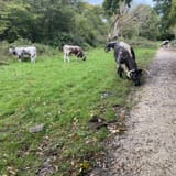 Dial Post - Shipley Circular, West Sussex, England - 187 Reviews, Map ...