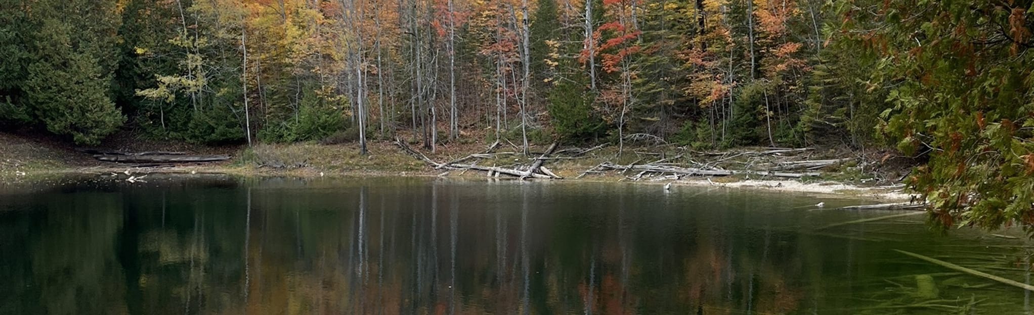 Rockport Quarry and Sinkhole Loop, Michigan - 144 Reviews, Map | AllTrails