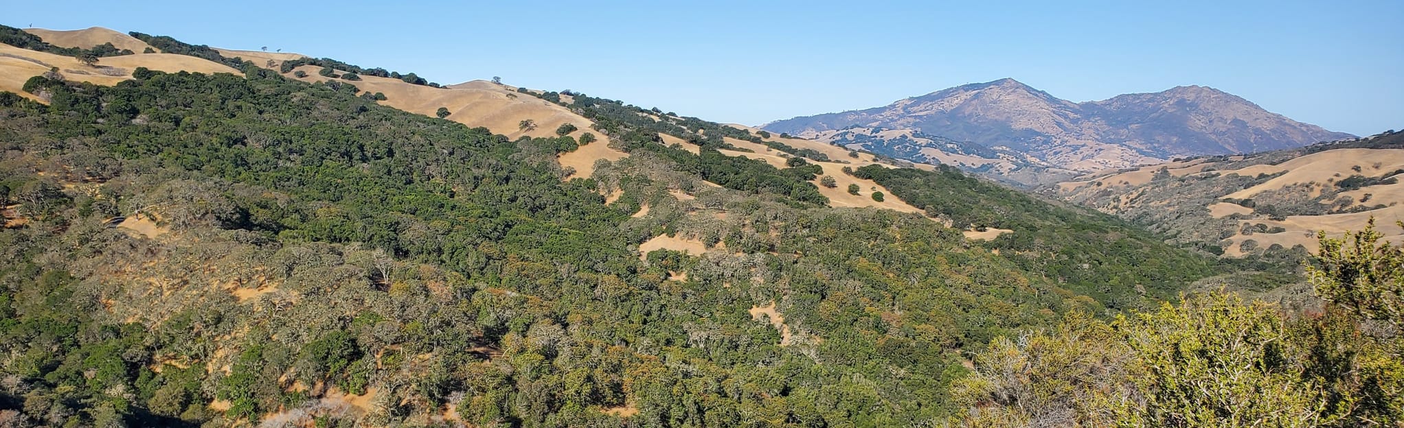 Condor and Prairie Falcon Trails to The Lost Lens Cap Overlook ...