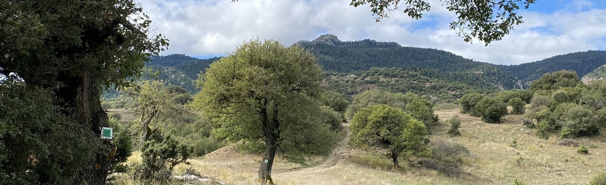 Menalon Trail Segment 6: Nymphasia - Magouliana: 21 Reviews, Map ...