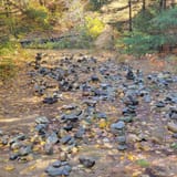 Arbutus Park and Raven Rookery Trail Loop , Massachusetts - 514 Reviews ...