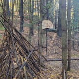 Arbutus Park and Raven Rookery Trail Loop , Massachusetts - 514 Reviews ...