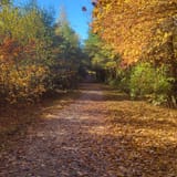 Arbutus Park and Raven Rookery Trail Loop , Massachusetts - 514 Reviews ...