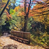 Arbutus Park and Raven Rookery Trail Loop , Massachusetts - 514 Reviews ...