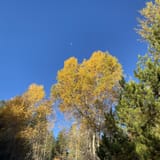 Kelly Canyon Trail, Idaho - 313 Reviews, Map | AllTrails