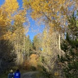 Kelly Canyon Trail, Idaho - 313 Reviews, Map | AllTrails