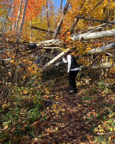 Best Hikes and Trails in Monaghan Forest Park | AllTrails